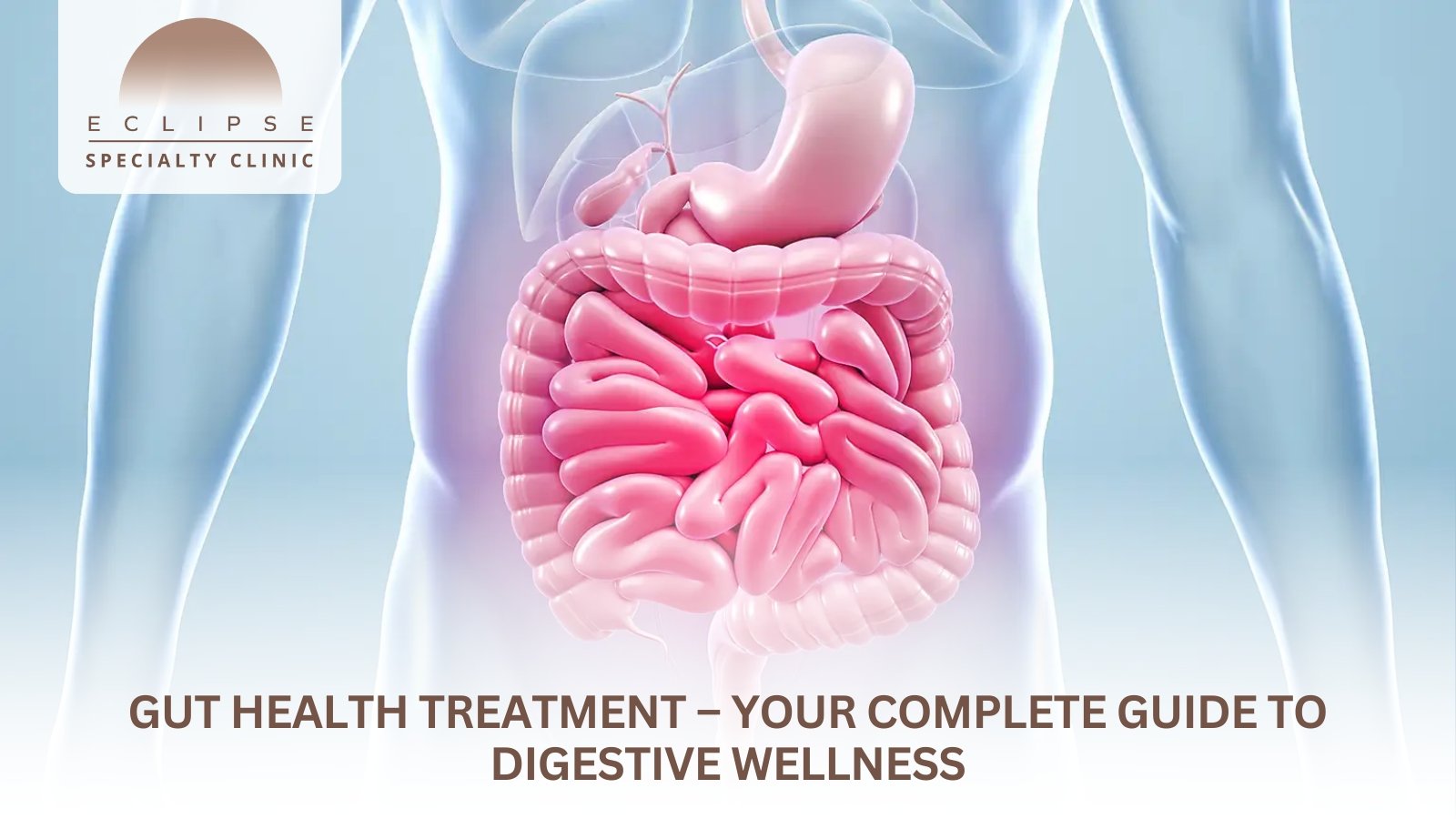Gut Health Treatment in Dubai | Eclipse Specialty Clinic